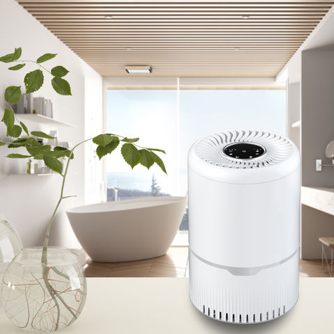 Buy Wholesale China Basic Air Purifier With 3 Fan Speeds, Timer Setting ...