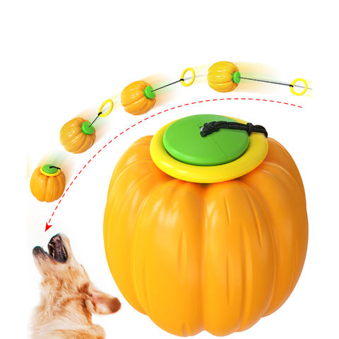 Buy Wholesale China Throw Ball Dog Toy Tpr Interactive Game Play Water ...