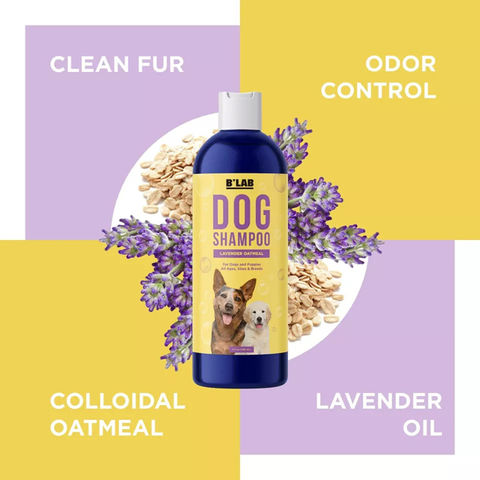 Buy Wholesale China Hot Selling Treatment Best Pet Shampoo For Dogs And ...