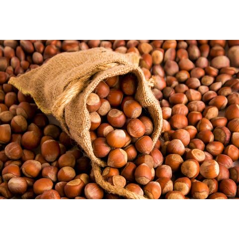 Buy Wholesale Canada Buy Hazelnut Kernels/hazelnut In Shell/ Organic ...