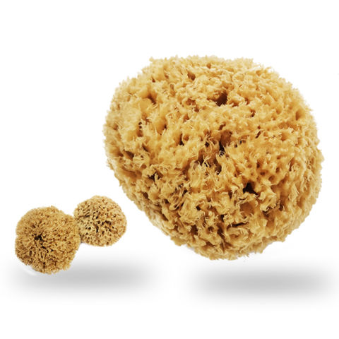 Buy Standard Quality China Wholesale Greece Natural Sea Sponge For ...