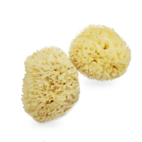 Buy Wholesale China Usa Brand Greece Natural Sea Sponge For Facial ...