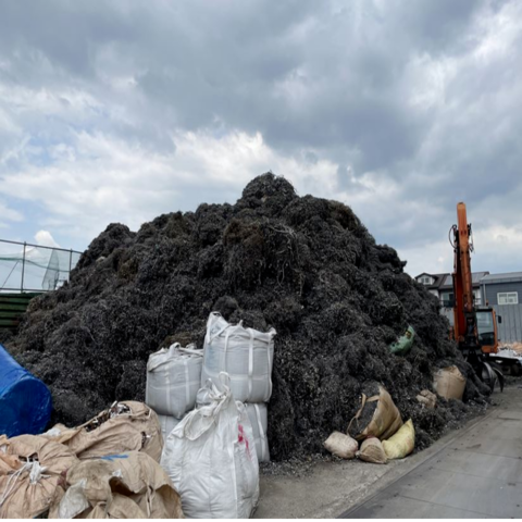 Buy Wholesale South Korea Sus 304,316 / Inconel / Hastelloy / Invar ...