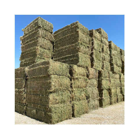 Buy Wholesale Germany Top Quality Alfalfa Hay Feed Bales Packaging ...