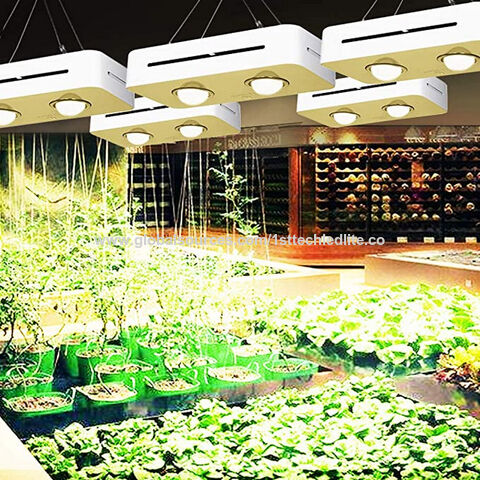 Buy Wholesale China Full Spectrum Cob Led 300w Grow Light Panel & Full ...