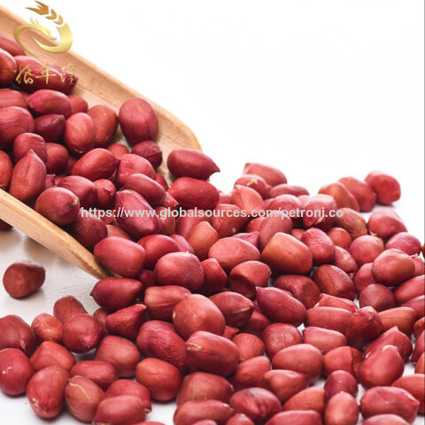 Buy Wholesale Germany Bulk Dry Raw Peanut Suppliers | Raw Peanuts ...