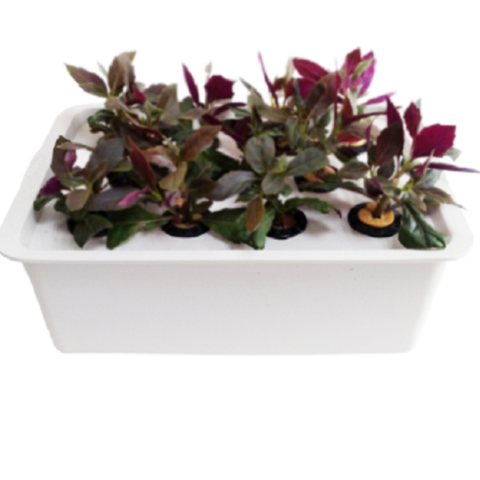Buy Wholesale China 11 Holes Good Quality Home Garden Hydroponic ...