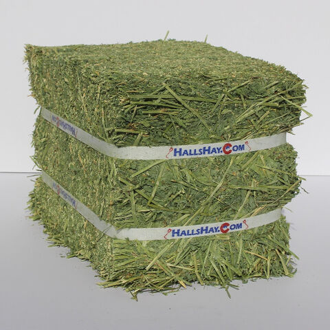 Buy Wholesale Germany Alfalfa Hay Bales/ Alfalfa Cubes/ Alfalfa Pellets ...