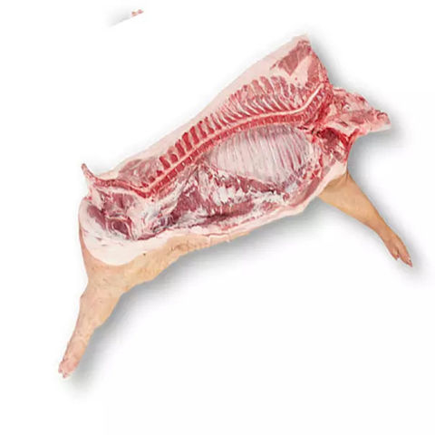 Buy Wholesale Germany High Quality Frozen Pork Meat Available & Frozen ...