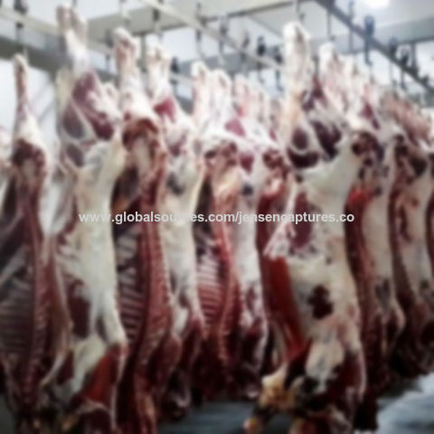 Buy Wholesale Canada First Class Halal Frozen Whole Beef Carcass ...