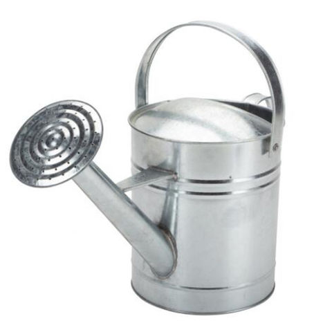 Buy Wholesale China Popular Metal Flower Watering Can Galvanized ...