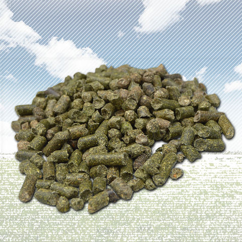 Buy Wholesale Germany Alfalfa Hay Pellets Animal Feed For Cattle ...