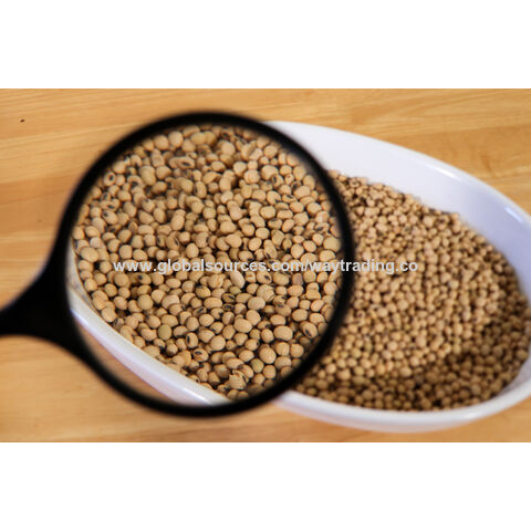 Buy Wholesale South Africa Wholesale High Quality Bulk Soybean Seed ...