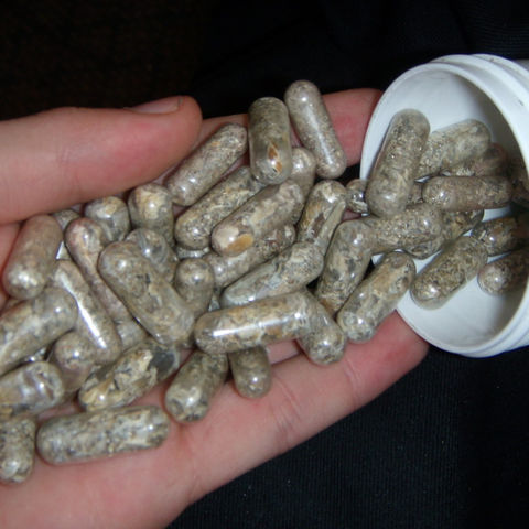 Buy Wholesale Canada Buy Microdosing Caplule / Mushroom Supplements ...