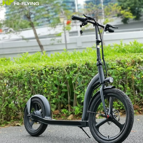 Buy Wholesale China Big Electric Scooter With Powerful 350w Motor And ...