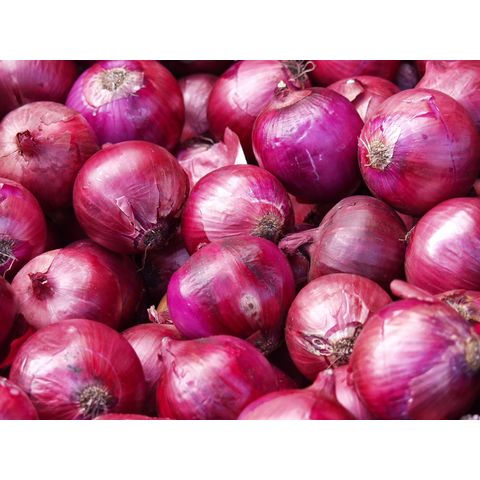 Buy Wholesale South Africa Premium Quality Fresh Onion & Quality Fresh ...