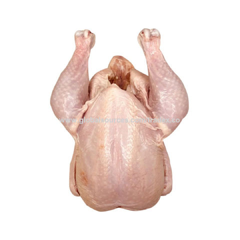 Buy Wholesale United States Wholesale Prices Whole Frozen Halal Chicken ...