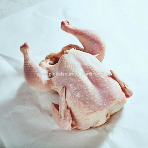Buy Wholesale United States Frozen Haccp Halal Frozen Whole Chicken ...