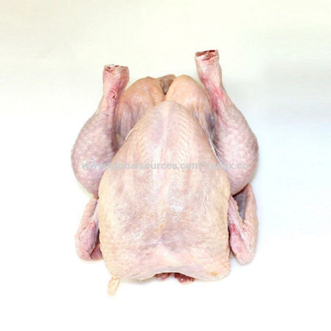 Buy Wholesale United States Buy Halal Whole Frozen Chicken For Export ...