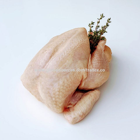 Buy Wholesale United States Halal Fresh Frozen Chicken Back/whole ...