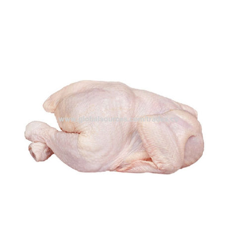 Buy Wholesale United States Top Supplier Fresh Frozen Halal Chicken ...