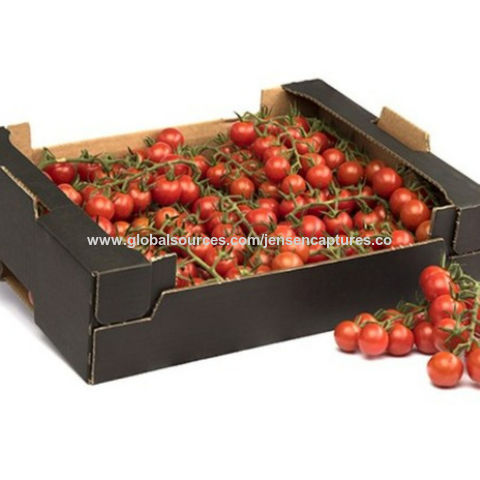 Buy Wholesale Canada Wholesale Fresh Tomato Fresh Tomatoes Green Cherry ...