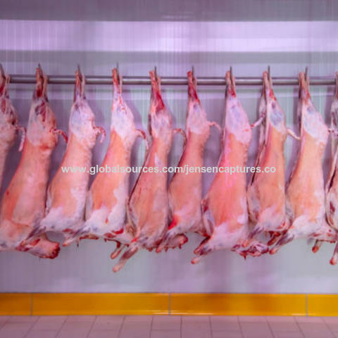 Buy Wholesale Canada Halal Fresh Frozen Goat/ Mutton Meat/ Lamb Meat ...