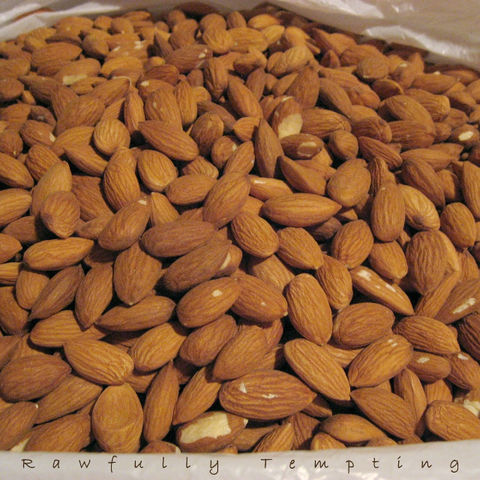 Buy Wholesale United Kingdom Low Price Almond Nuts For Sale / Almond ...