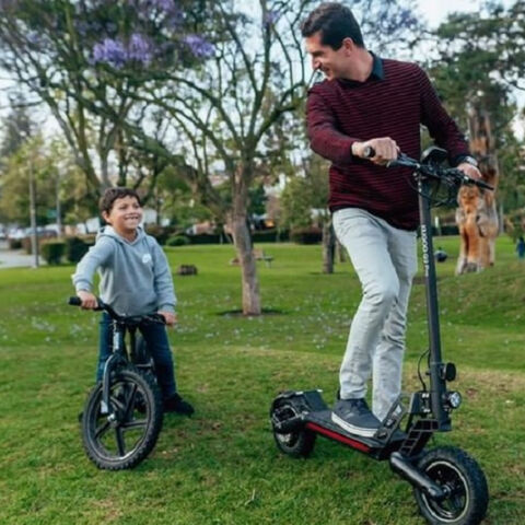 Buy Wholesale China Kugoo Electric Scooter G2pro Pro 800w 48v 10 Inches ...