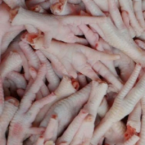 Buy Wholesale United Kingdom High Quality Frozen Chicken Paws In Bulk ...
