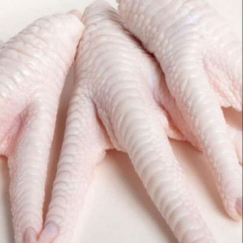 Buy Wholesale United Kingdom Frozen Chicken Paw Feet Wholesale Top ...
