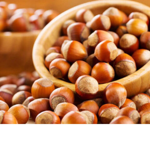 Buy Wholesale South Africa Organic Raw Hazelnut & Raw Hazelnut at USD ...