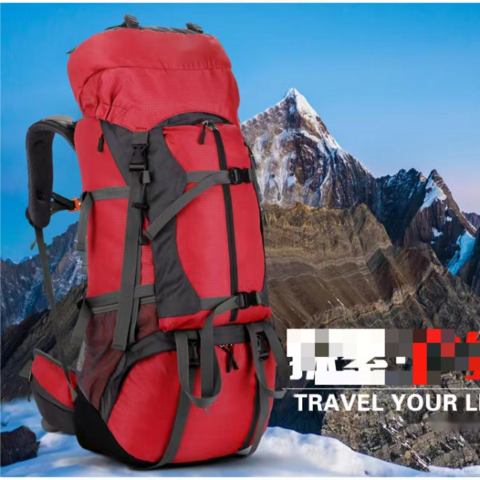 Buy Wholesale China Mountaineering 60l Trekking Function Camping ...
