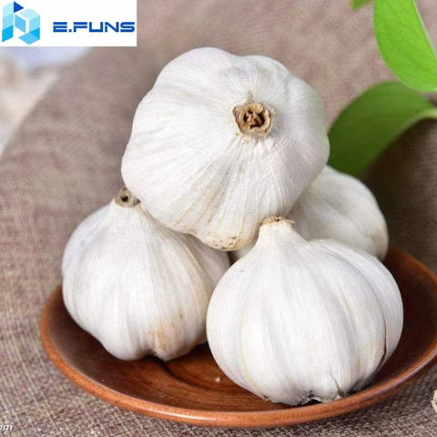 Buy Wholesale China New Corp Fresh Garlic 4.5cm,5.0cm,5.5cm,6.0cm,pack ...