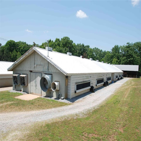 Buy Wholesale China Prefabricated Modern Light Steel Structure Chicken ...