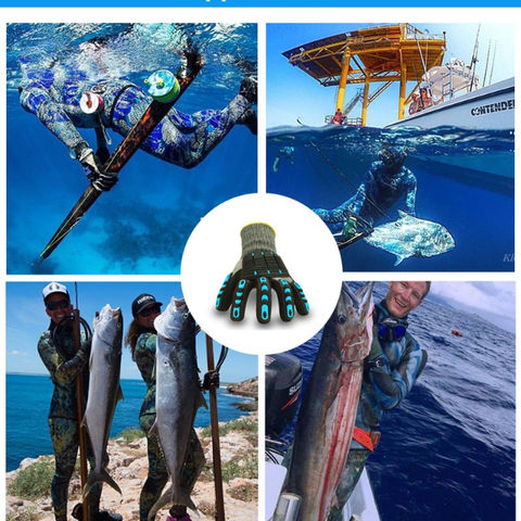 Buy Wholesale China Snapper Jelly Hog Trigger French Angel Fish Lobster ...