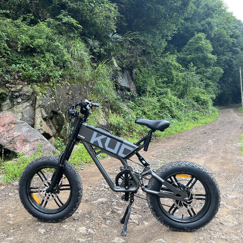 Buy Wholesale China Kugoo New Design 20*4" Tire High Power Off-road ...