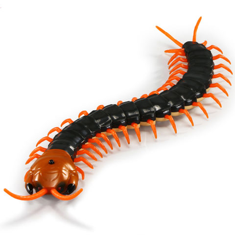 Buy Wholesale China Simulatiino Rc Centipede Scolopendra Realistic ...