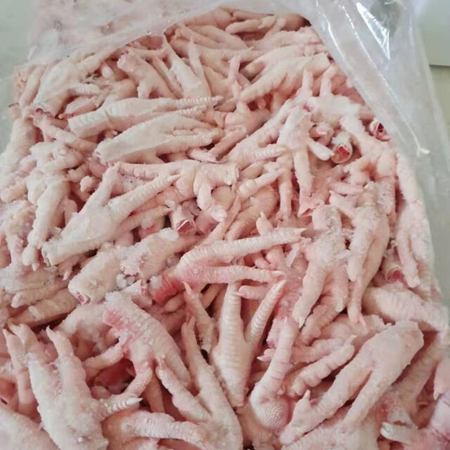 Buy Wholesale Germany Halal Frozen Whole Chicken, Chicken Feet, Paws ...
