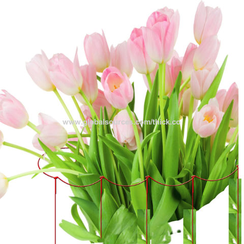 Buy Wholesale China Metal Half Round Plant Support/half Round Grow ...