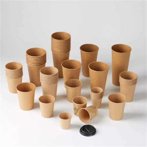 Disposable Biodegradable Cupcake Carton 12 Oz Hot Insulated Coffee ...