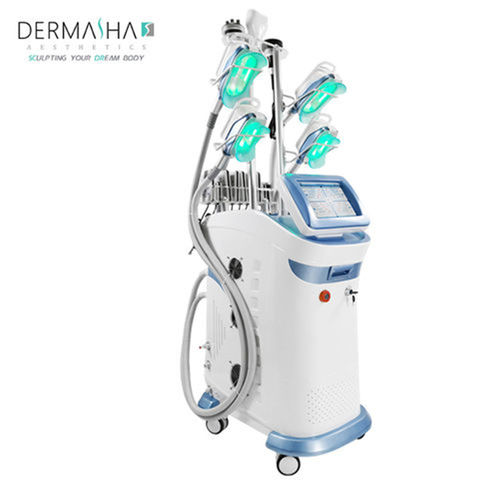 Buy Wholesale China New Arrival Lipo Cryo Cooling Rf Cavitation 360 ...