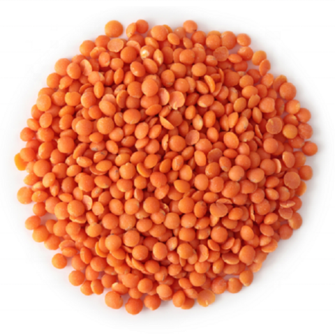 Buy Wholesale United States Lentils Wholesale High Quality Green ...