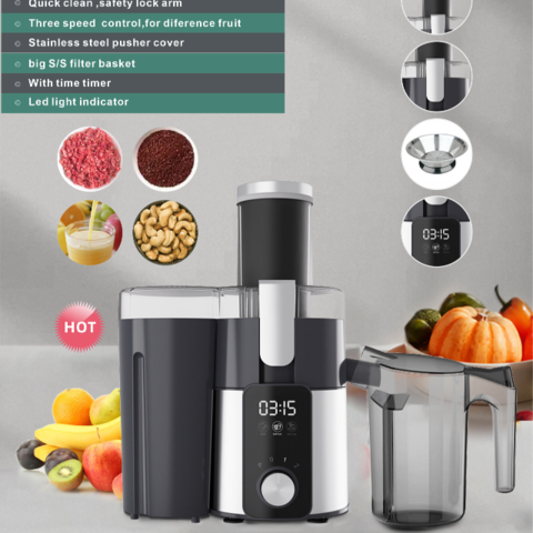 Buy Wholesale China Powerful Two Speed Juice Extractor Fruit Juicer ...