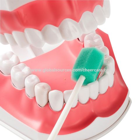 Buy Wholesale China Factory Direct Ce And Iso Certified Disposable Oral ...