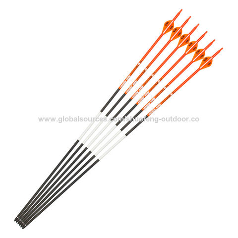Buy Wholesale China Bloodline Carbon Arrows Archery Blazer Arrow ...