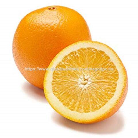 Buy Wholesale France Cheap Factory Price New Crop Fresh Oranges ...