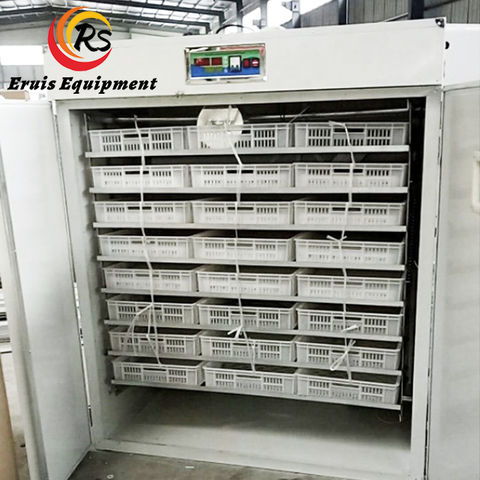 Buy Wholesale China 500-2000bph Chicken Dressing Line Poultry Feather ...