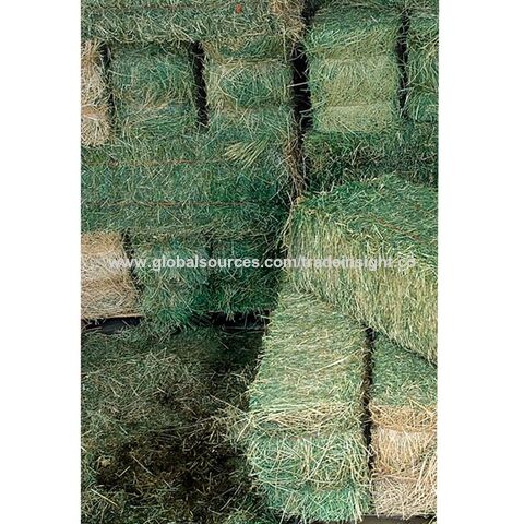 Buy Wholesale United States High Grade Alfalfa Hay Bales For Animal ...