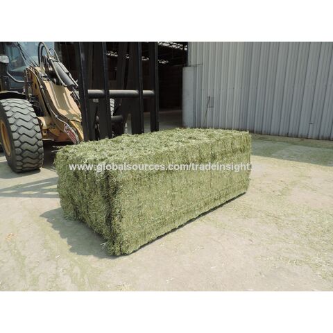 Bulk Buy United States Wholesale Alfalfa Hay Pellets Wholesale Price ...